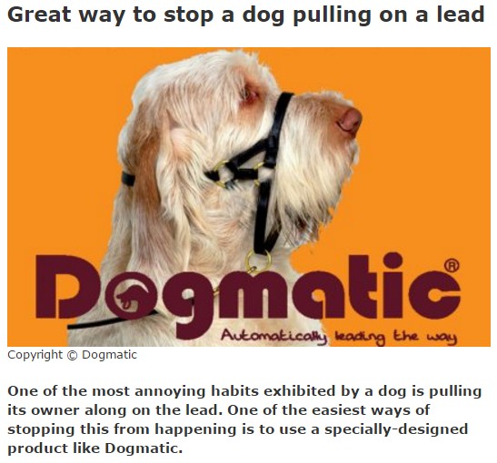 Why Say Dogmatic 